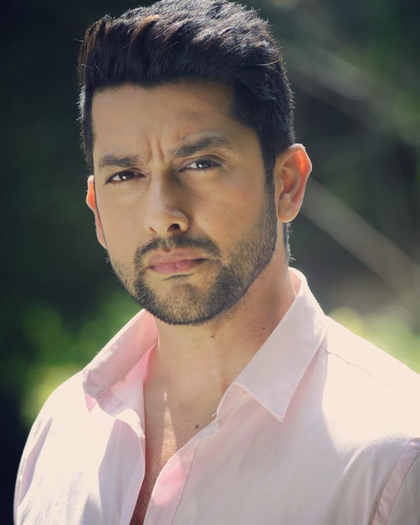 Special Ops 1.5 (Hotstar) Web Series Cast & Crew, Release Date, Actors ...