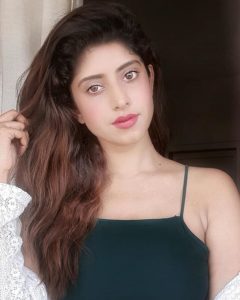 Badi Door Se Aaye Hain Cast & Crew, Actors, Roles, Salary, Wiki & More